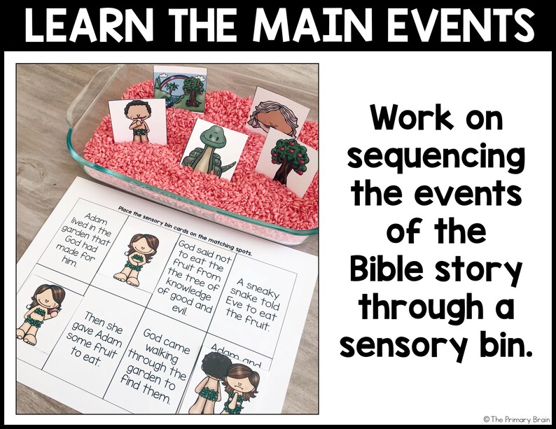 Adam and Eve Bible Lesson: Sunday School Activities (digital Download ...