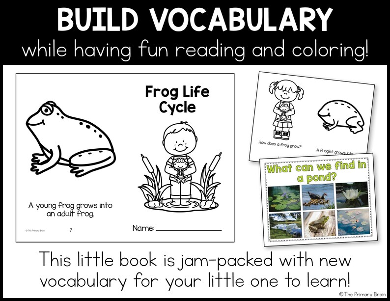 Pond Life Cycle Preschool Curriculum With Lesson Plans: 23 Activities ...