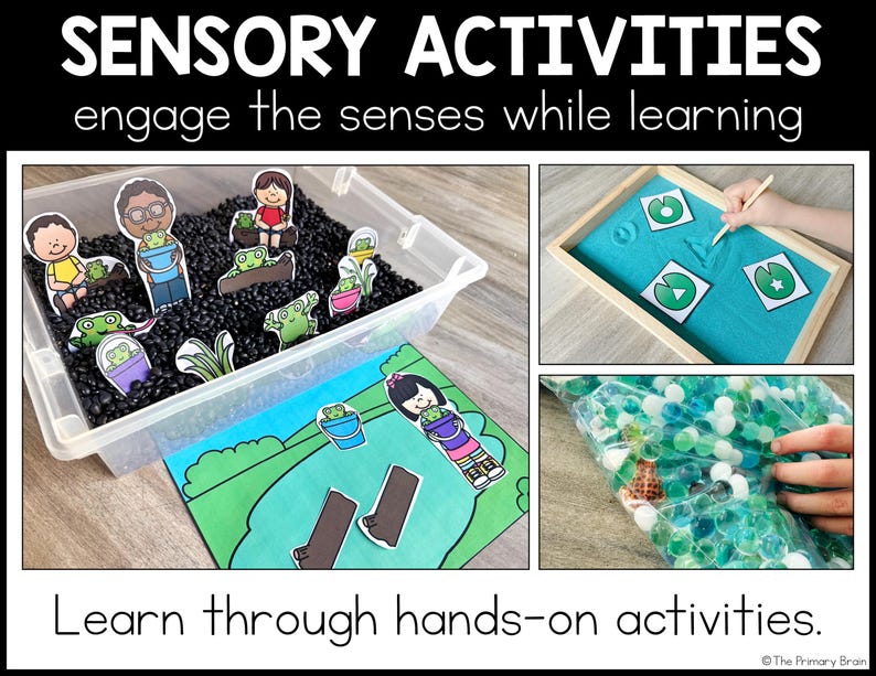 Pond Life Cycle Preschool Curriculum With Lesson Plans: 23 Activities ...
