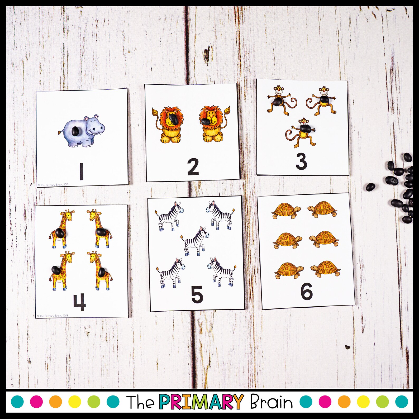 Zoo Toddler Activities Tot School Lesson Plans Homeschool - Etsy