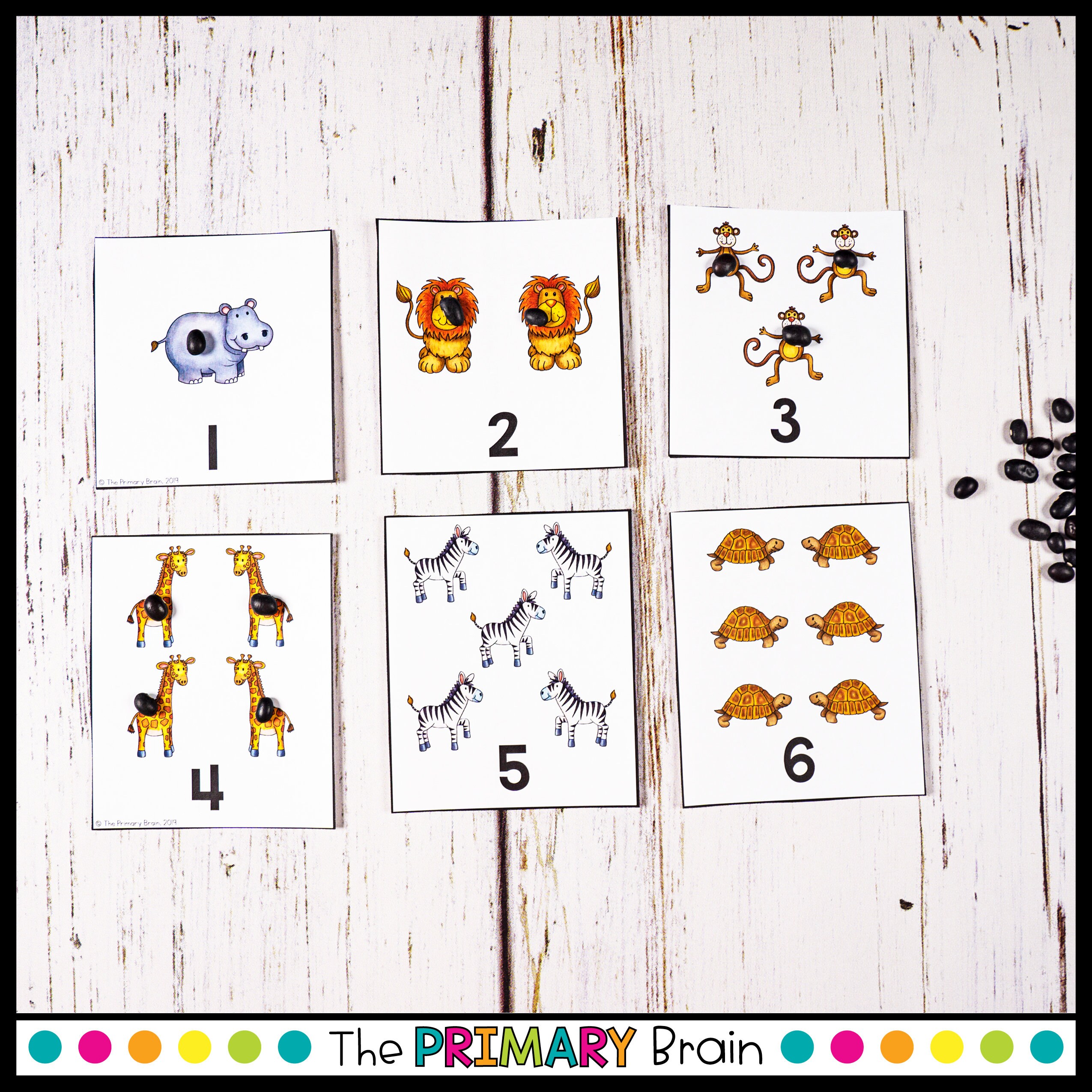 Zoo Toddler Activities Tot School Lesson Plans Homeschool - Etsy