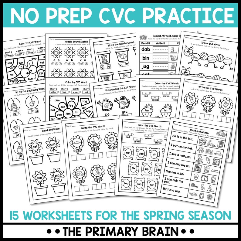 Spring Themed CVC Words Worksheets | Printable Phonics Practice - Etsy