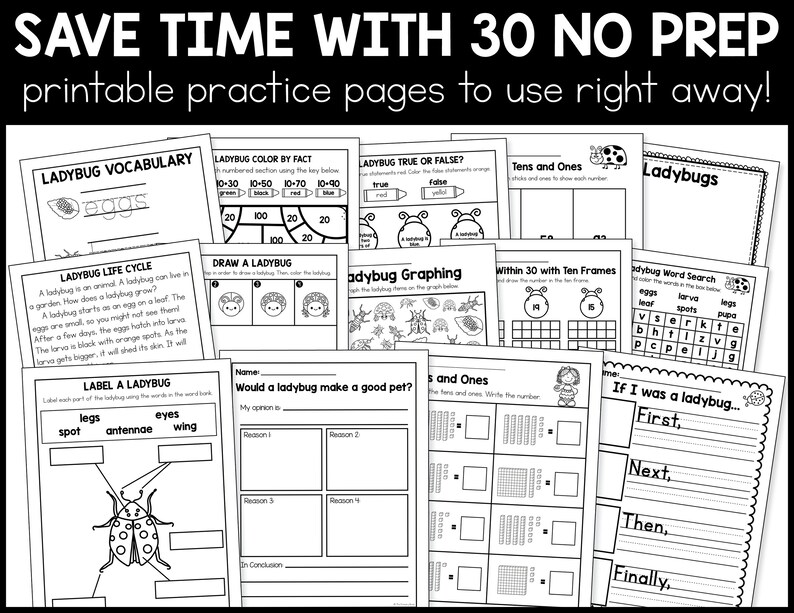 Ladybug Activities Packet: Kindergarten & First Grade Lesson Plans - Etsy