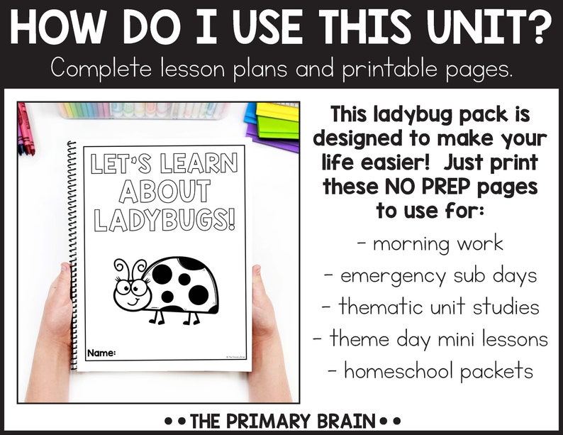 Ladybug Activities Packet: Kindergarten & First Grade Lesson Plans - Etsy