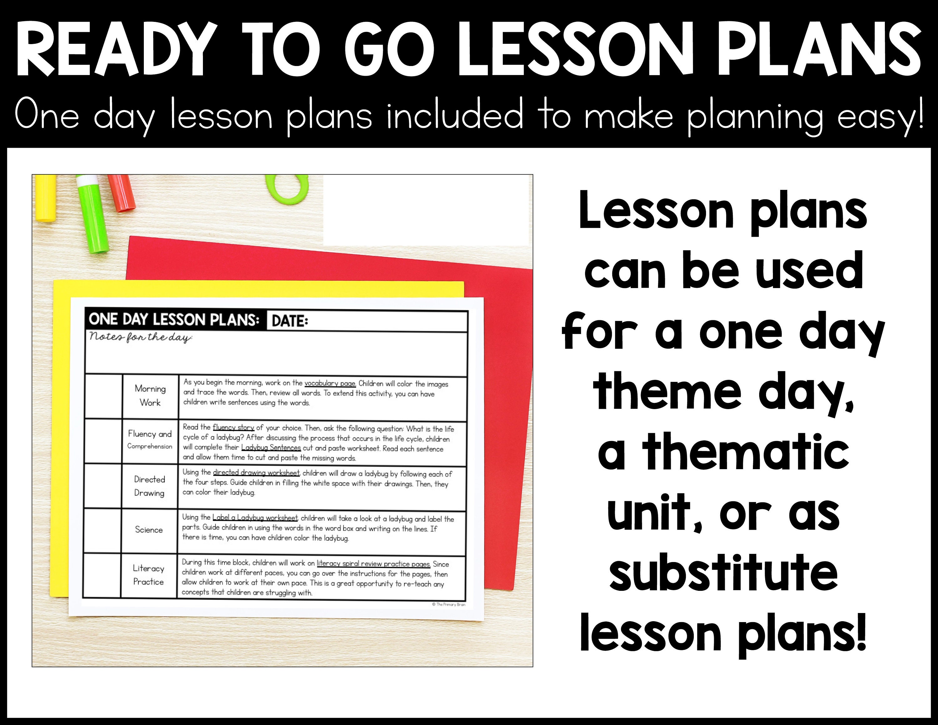 Ladybug Activities Packet: Kindergarten & First Grade Lesson Plans - Etsy