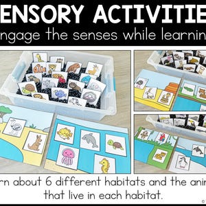 Habitats Preschool Activities | Animal Homes Pre-k Homeschool Preschool ...