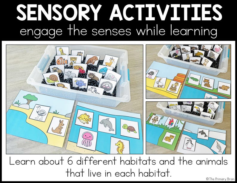 Habitats Preschool Activities | Animal Homes Pre-k Homeschool Preschool ...