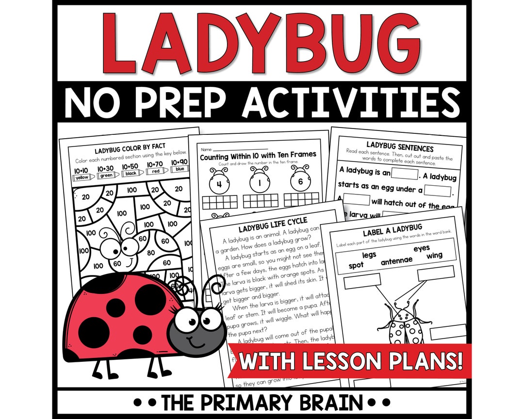 Ladybug Activities Packet: Kindergarten & First Grade Lesson Plans - Etsy