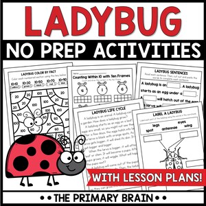 Ladybug Activities Packet: Kindergarten & First Grade Lesson Plans - Etsy