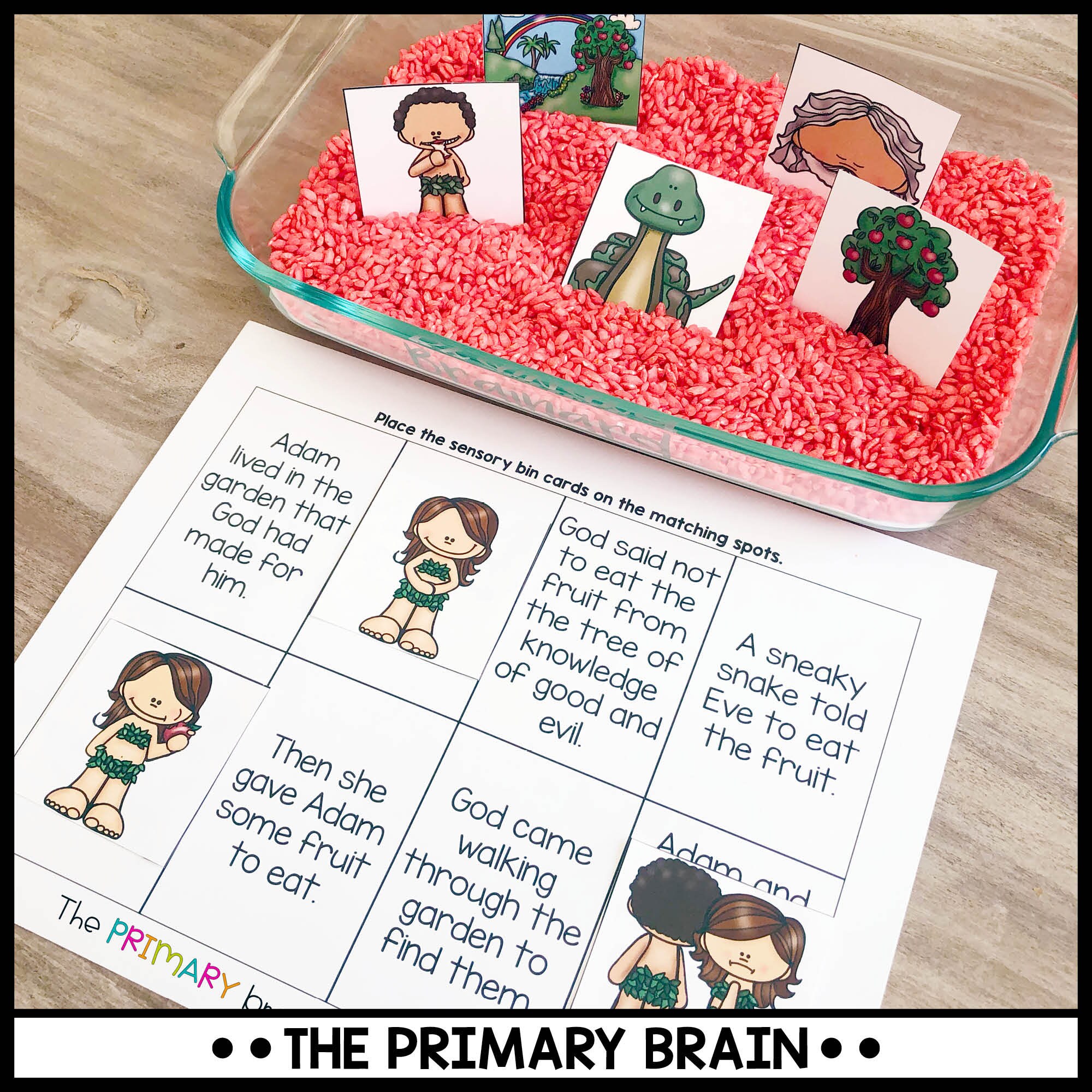 Adam and Eve Bible Story Sunday School Lesson Plans Bible Class ...