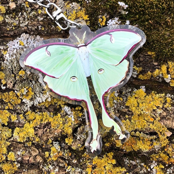 Luna Moth Ring - Etsy