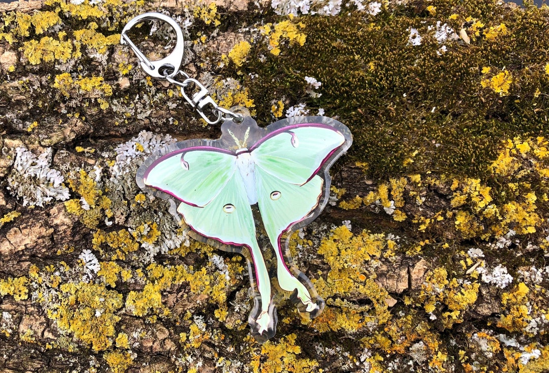 Luna Moth Acrylic Key Ring De La Luna Luna Moth Clear Keychain - Etsy UK