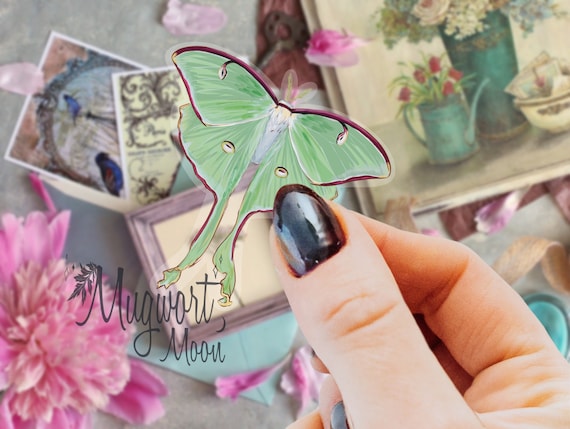 Luna Moth Sticker De La Luna Collection Luna Moth Clear | Etsy UK