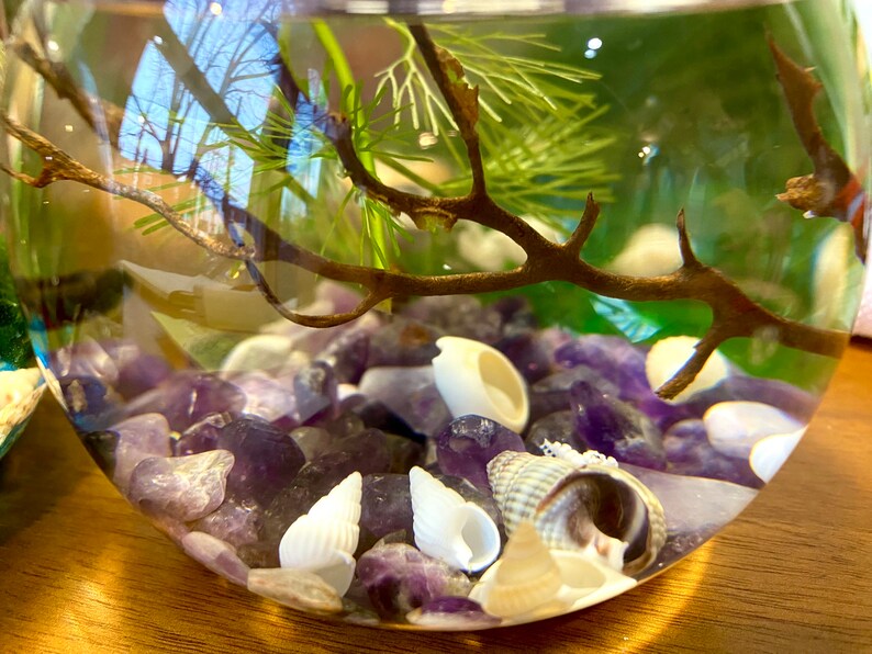 Custom Snail Ecosystem With Agate Rocks - Etsy