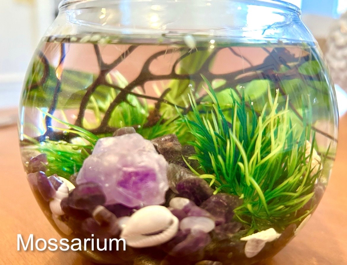 Custom Planted Snail Ecosphere With Purple Agate - Etsy