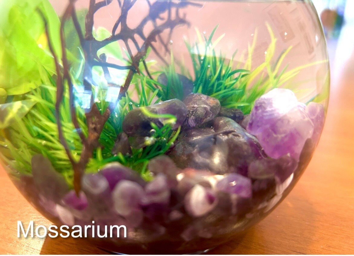 Custom Planted Snail Ecosphere With Purple Agate - Etsy