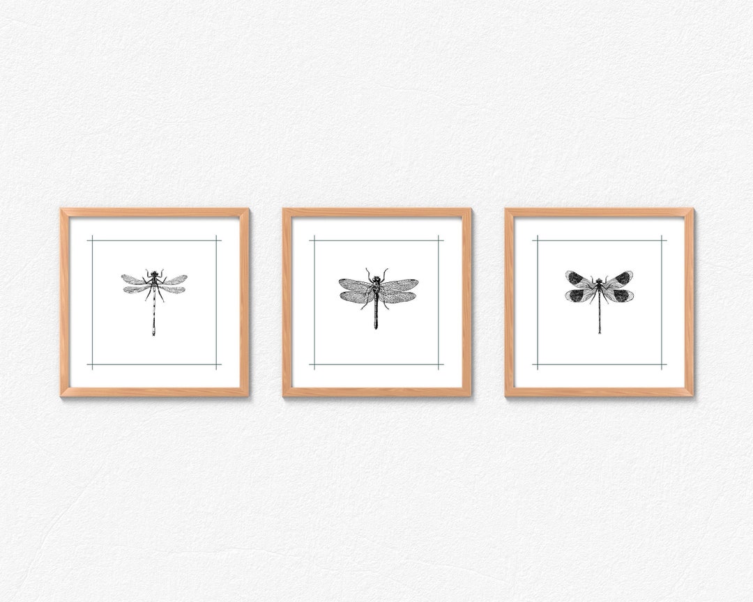 Dragonfly Wall Art | Printable Set of Three Wall Art | Dragonfly Art ...