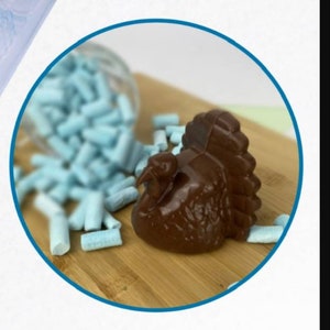 Turkey, 3 Part Mold, BWB, Hot Cocoa Bomb, Thanksgiving Mold, Turkey ...