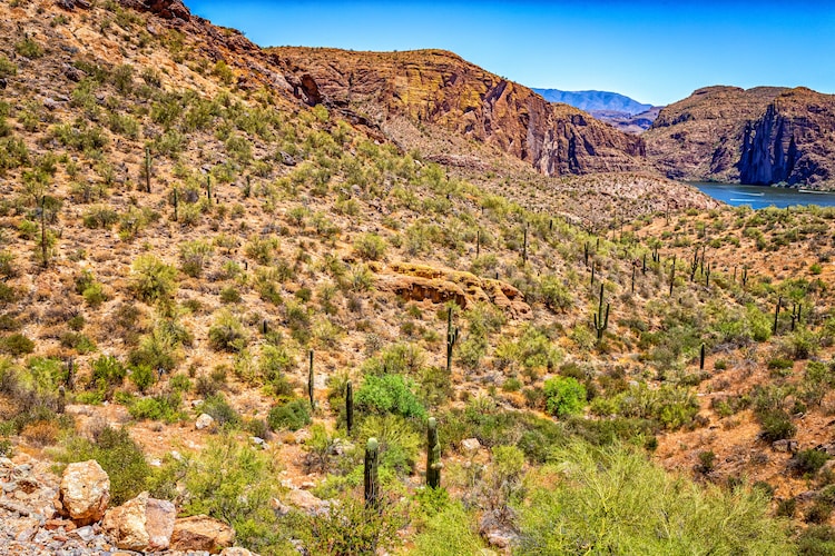 Prints Apache Trail Scenic Drive View Open Landscape Arizona American ...