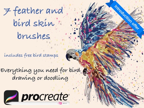 Procreate Bird Feather Brush Set and Doodle Stamps - Etsy
