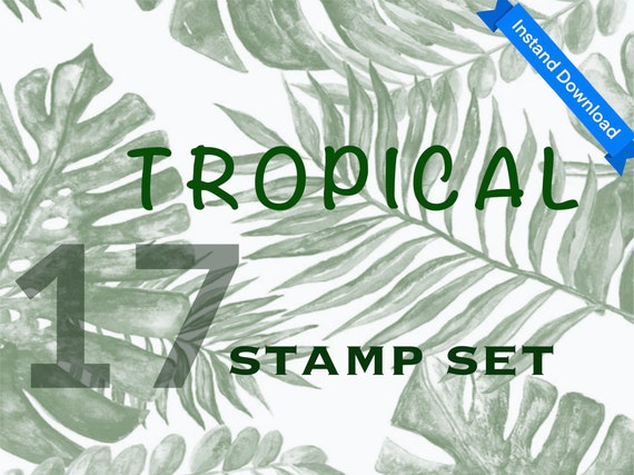 Procreate Fish Stamps Waterplants and Shell Set Free Marine - Etsy