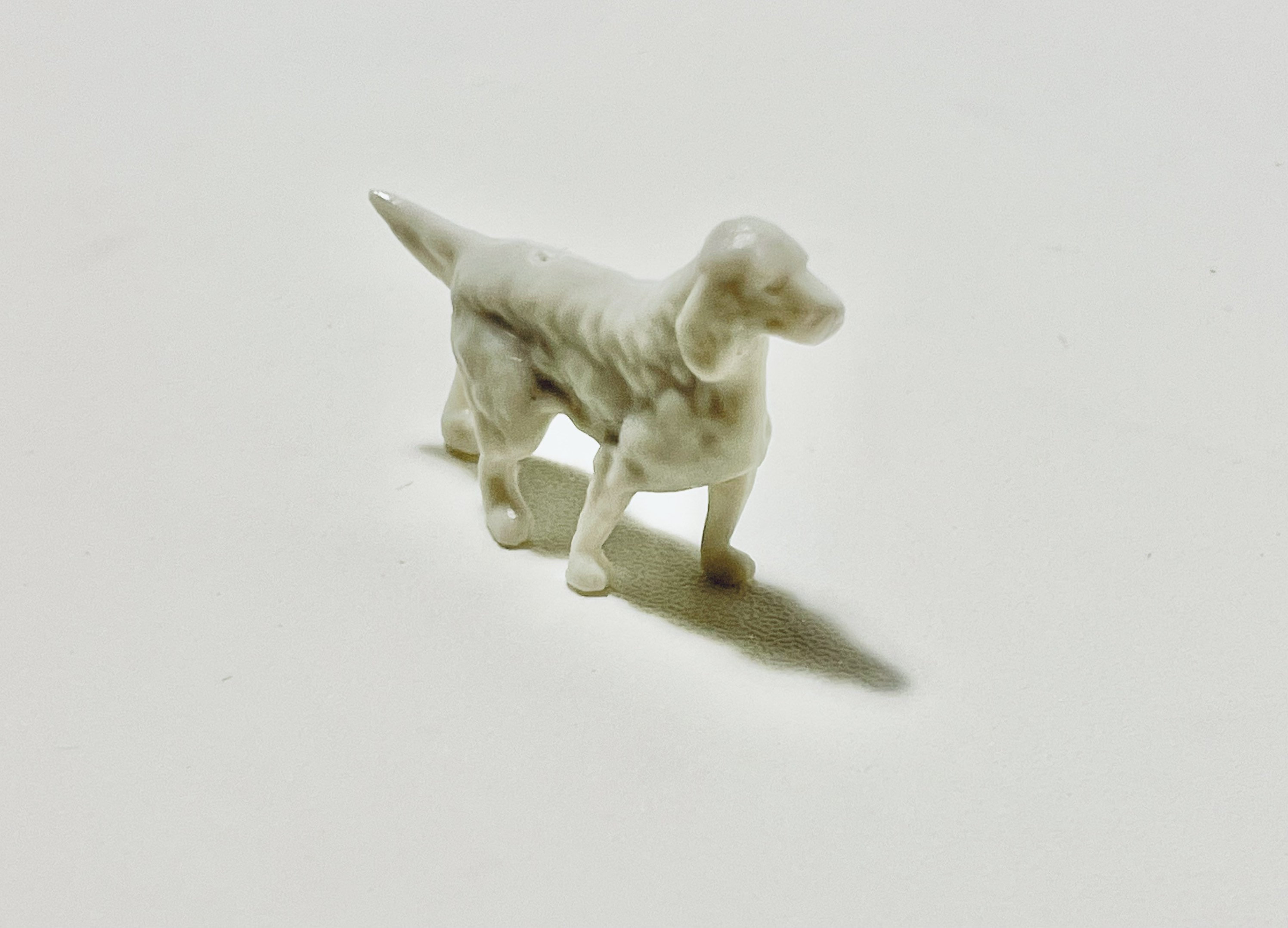 Miniature English Setter