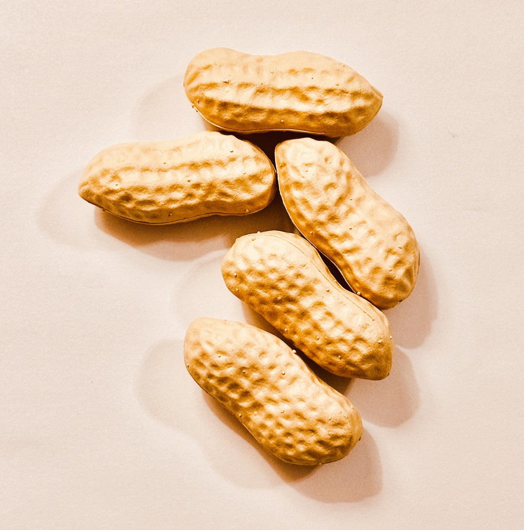 Artificial/faux Authentic Looking Peanuts for Tiered Trays and Arts ...