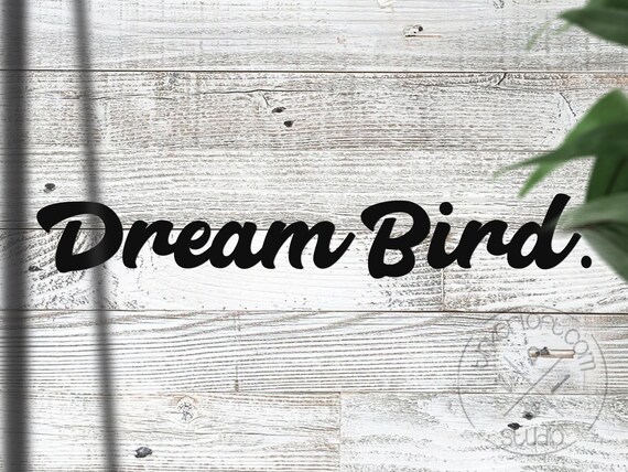 Vinyl Stickers Statement Car Stickers Furniture Stickers - Etsy