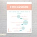 Figures of Speech English Classroom Decor Bundle Figurative Language ...