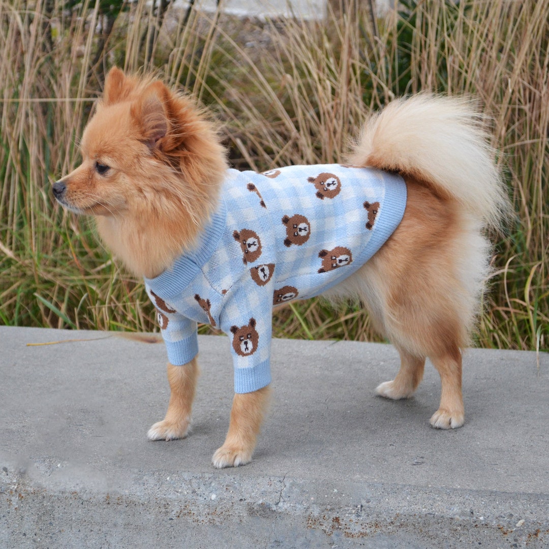 Cute Dog Sweater I Puppy Sweater I Teddy Bear Sweater I Puppy - Etsy