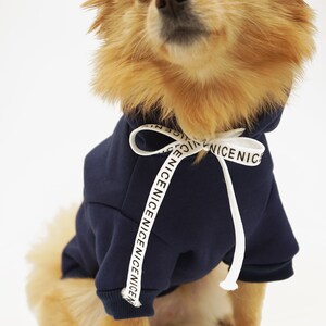Fall Dog Sweatshirt Small Dog Sweater I Dog Fall Hoodie I Dog Hoodie ...
