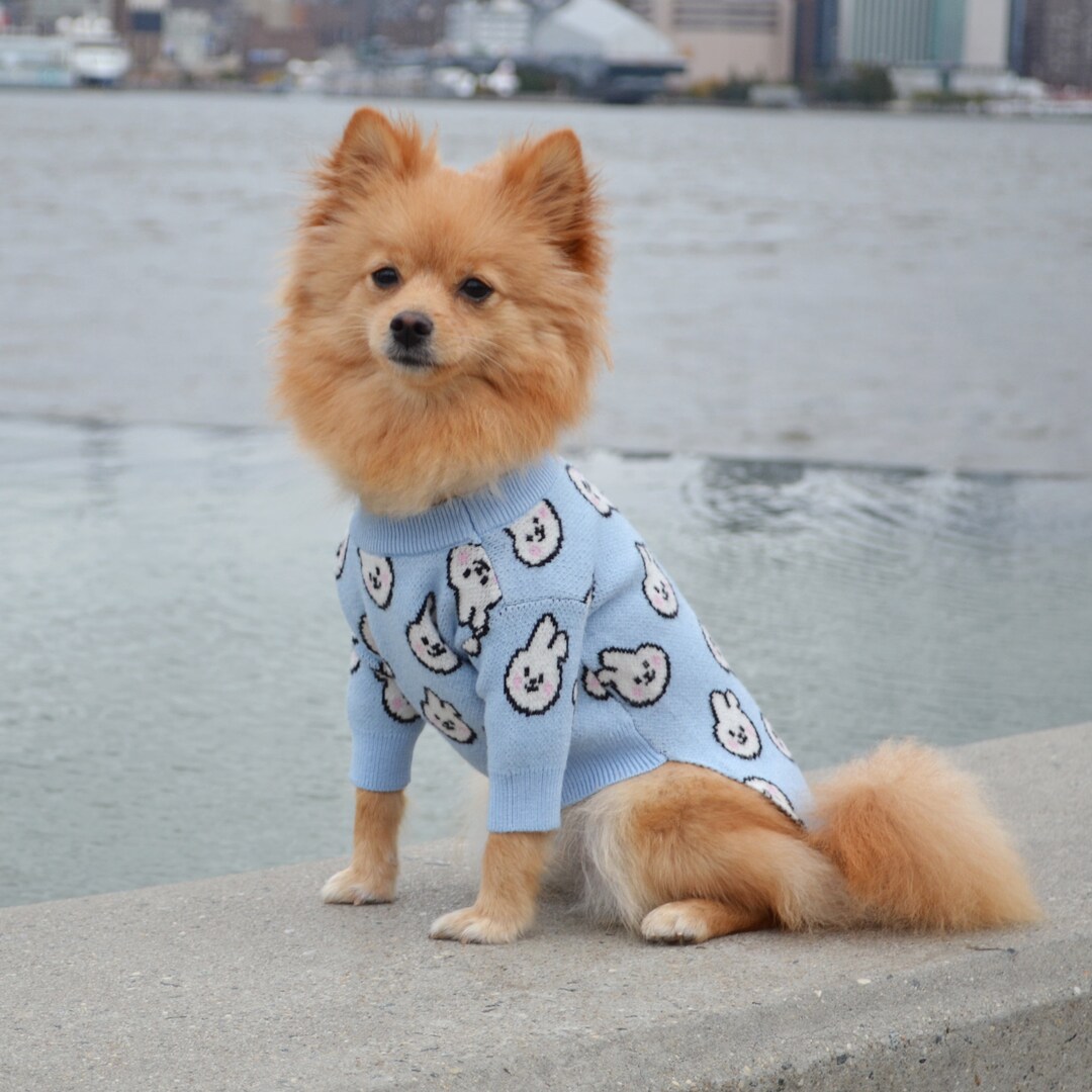 Cute Dog Sweater Blue Dog Sweater Rabbit Print Sweater for Small Dogs I ...