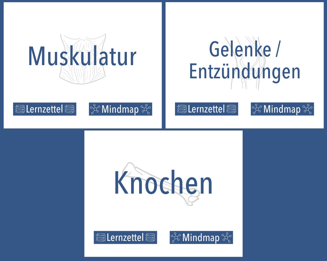 Learning Sheet Mind Map Package Muscles / Joints / Bones - Etsy