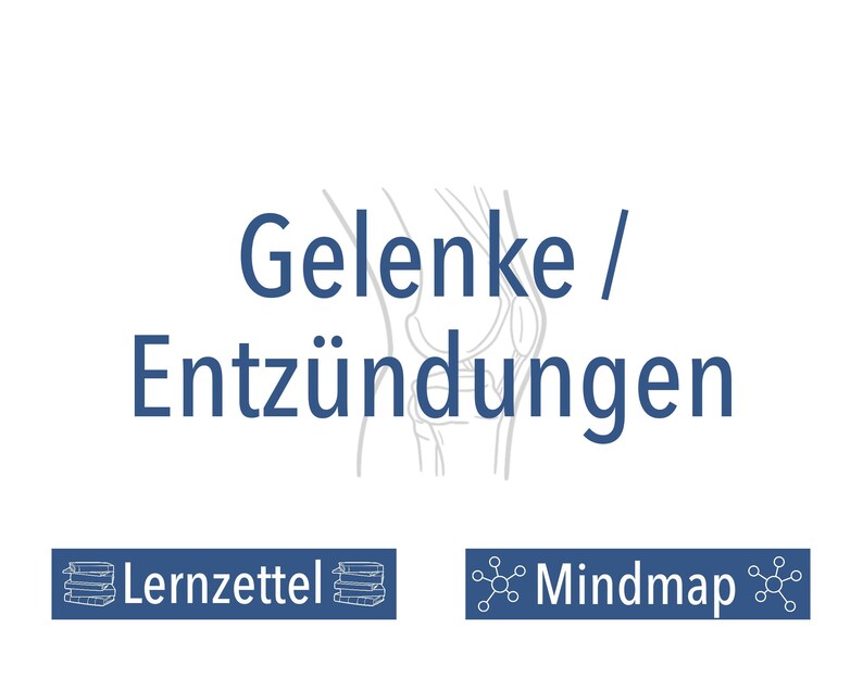 Learning Sheet Mind Map Package Muscles / Joints / Bones - Etsy