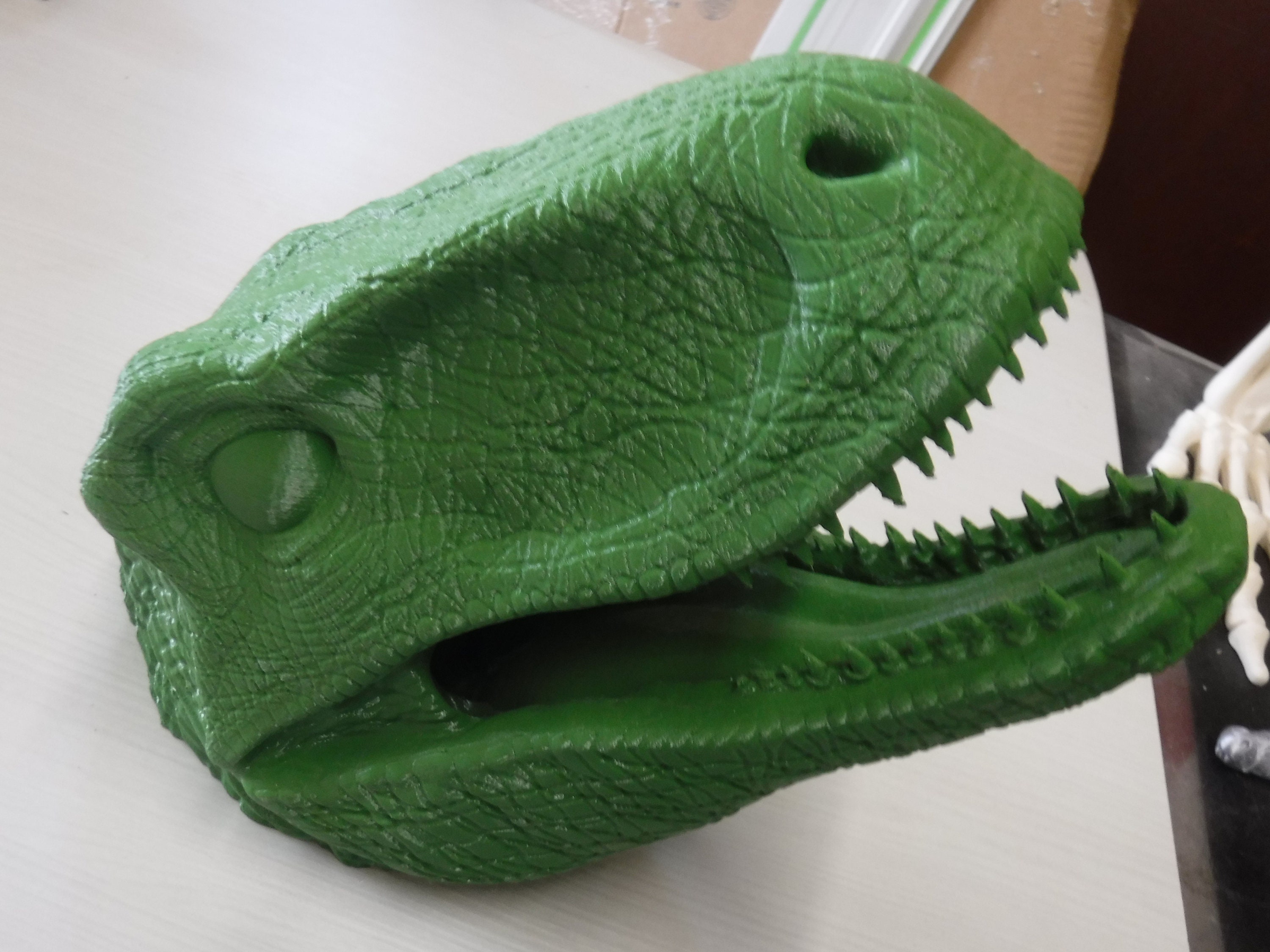 Velociraptor Head Wall Mounted Bust Sculpture - Etsy