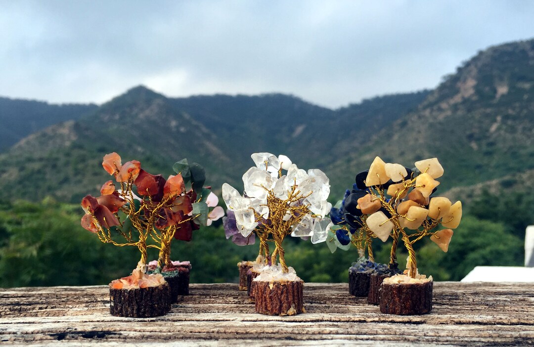 12 Pieces Assorted Crystal Tree Set Rose Quartz Gem Tree on Wood Base W ...