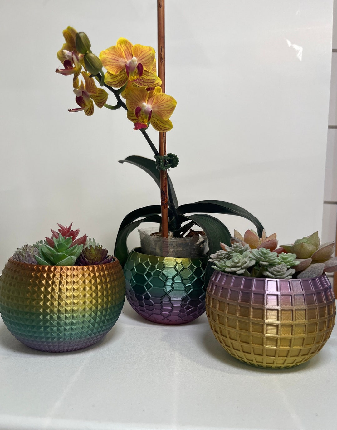 Textured Indoor Planters, Ornate Plant Pots, Decorative Succulent ...