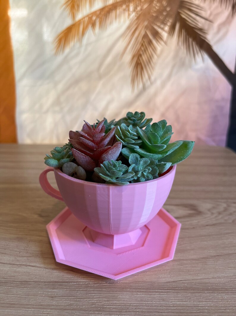 Teacup Planter Indoor Flower Pot Candy Bowl Tea Garden - Etsy