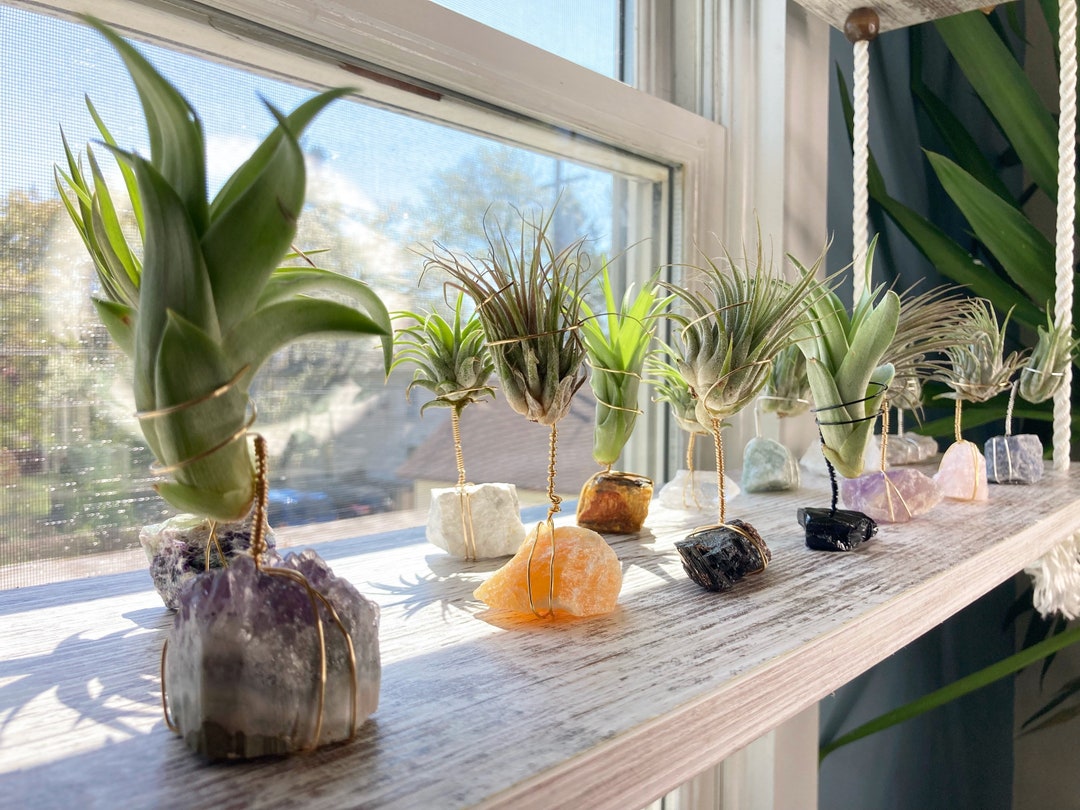 Raw Crystal Planter | Crystal Air Plant Holder, Home Gift Plant, Plant ...