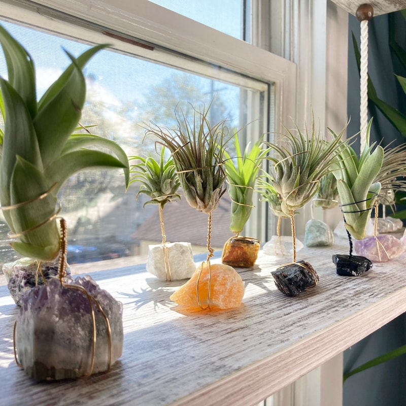 Crystal Planter - Etsy