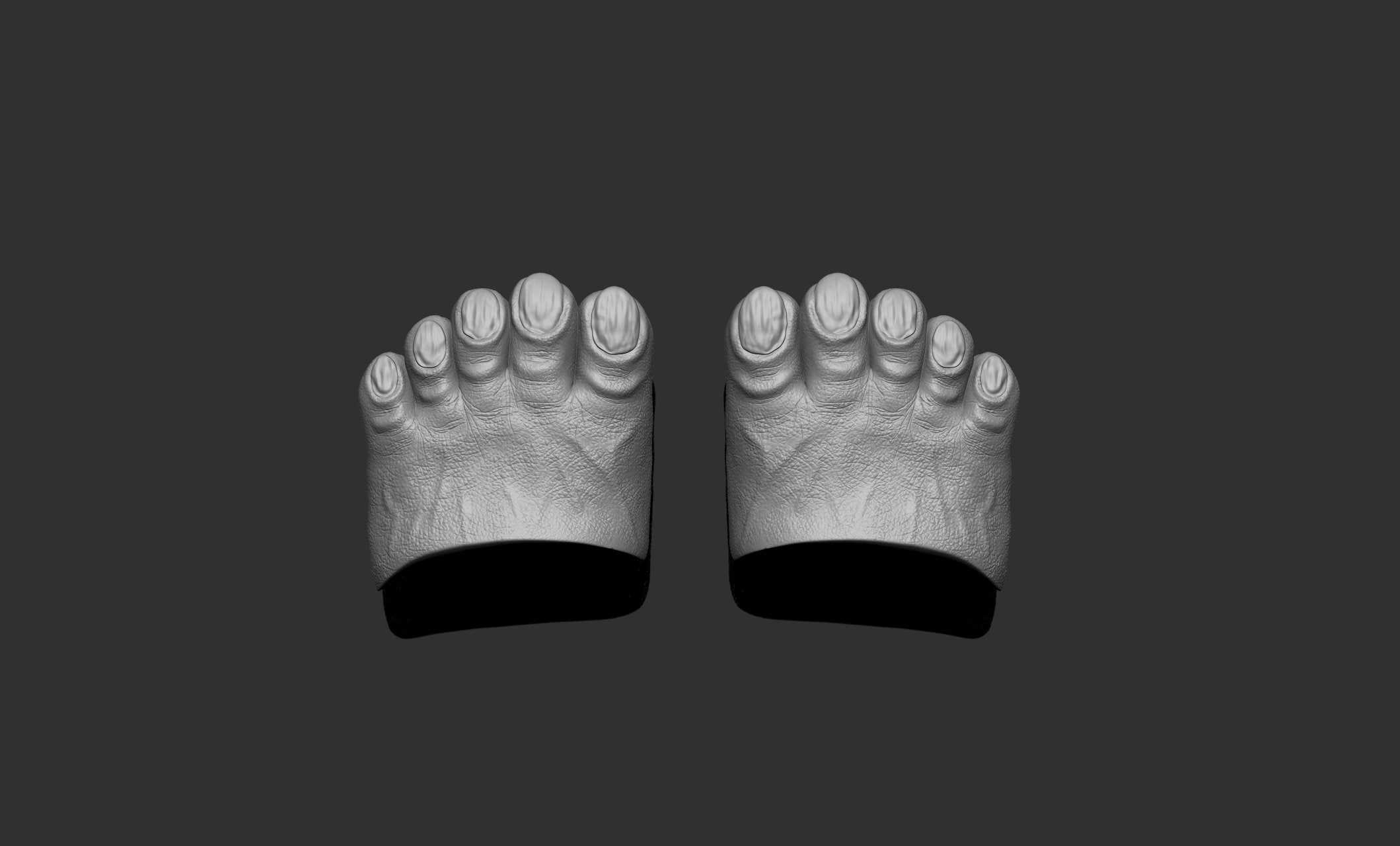 Chewbacca Toes Feet Cosplay 3D Printable Model - Digital File - Etsy