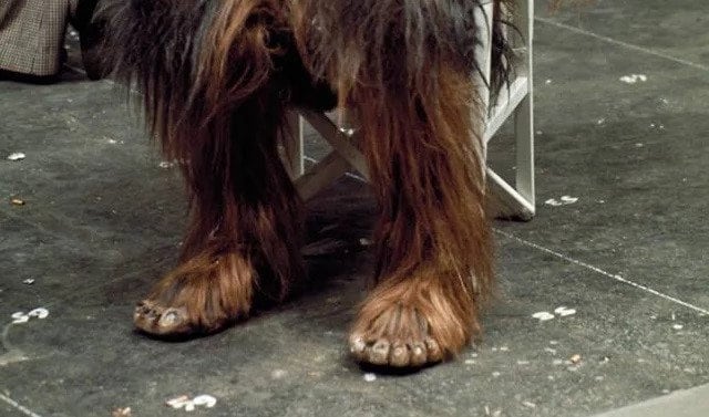 Chewbacca Toes Feet Cosplay 3D Printable Model - Digital File - Etsy