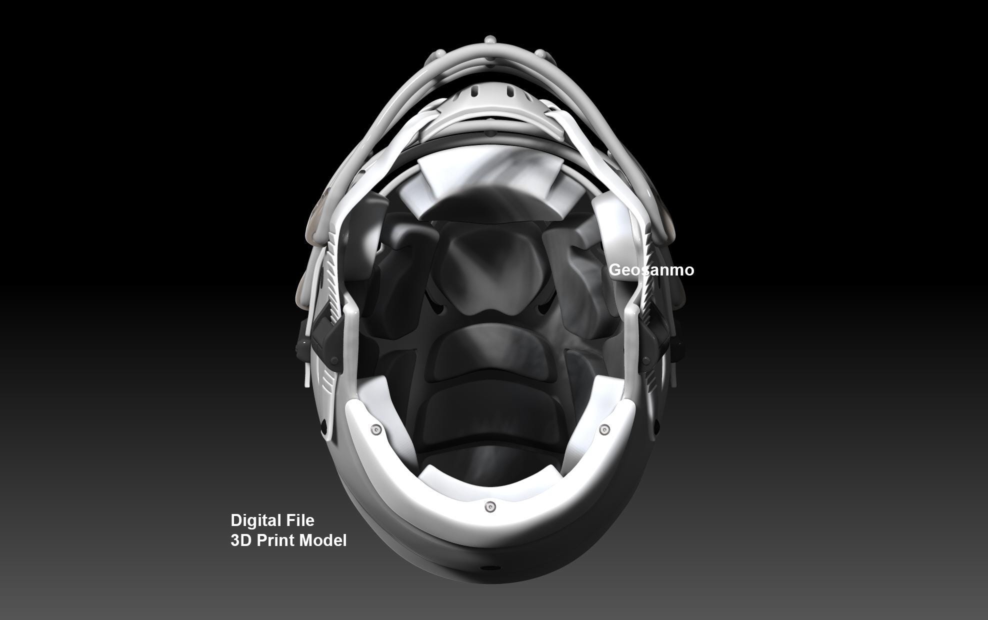 NFL Riddell SPEEDFLEX Helmet With Padding 3D Printable Model - Digital ...