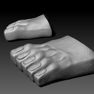 Gungi Toes Feet Cosplay 3D Print Model - Digital File - Etsy