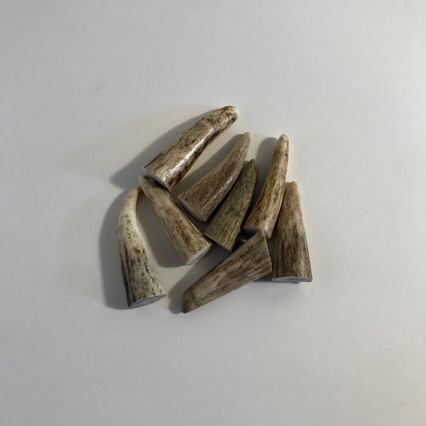 Deer Antler Tips - Etsy