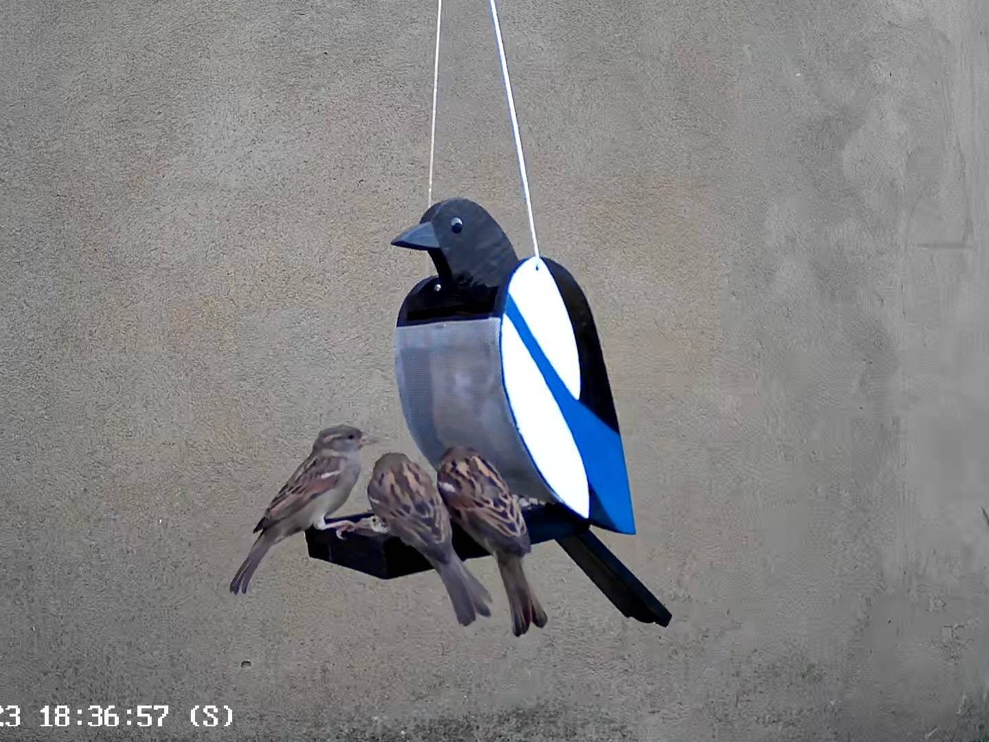 Magpie Bird Feeder / Wildlife Feeder - Etsy