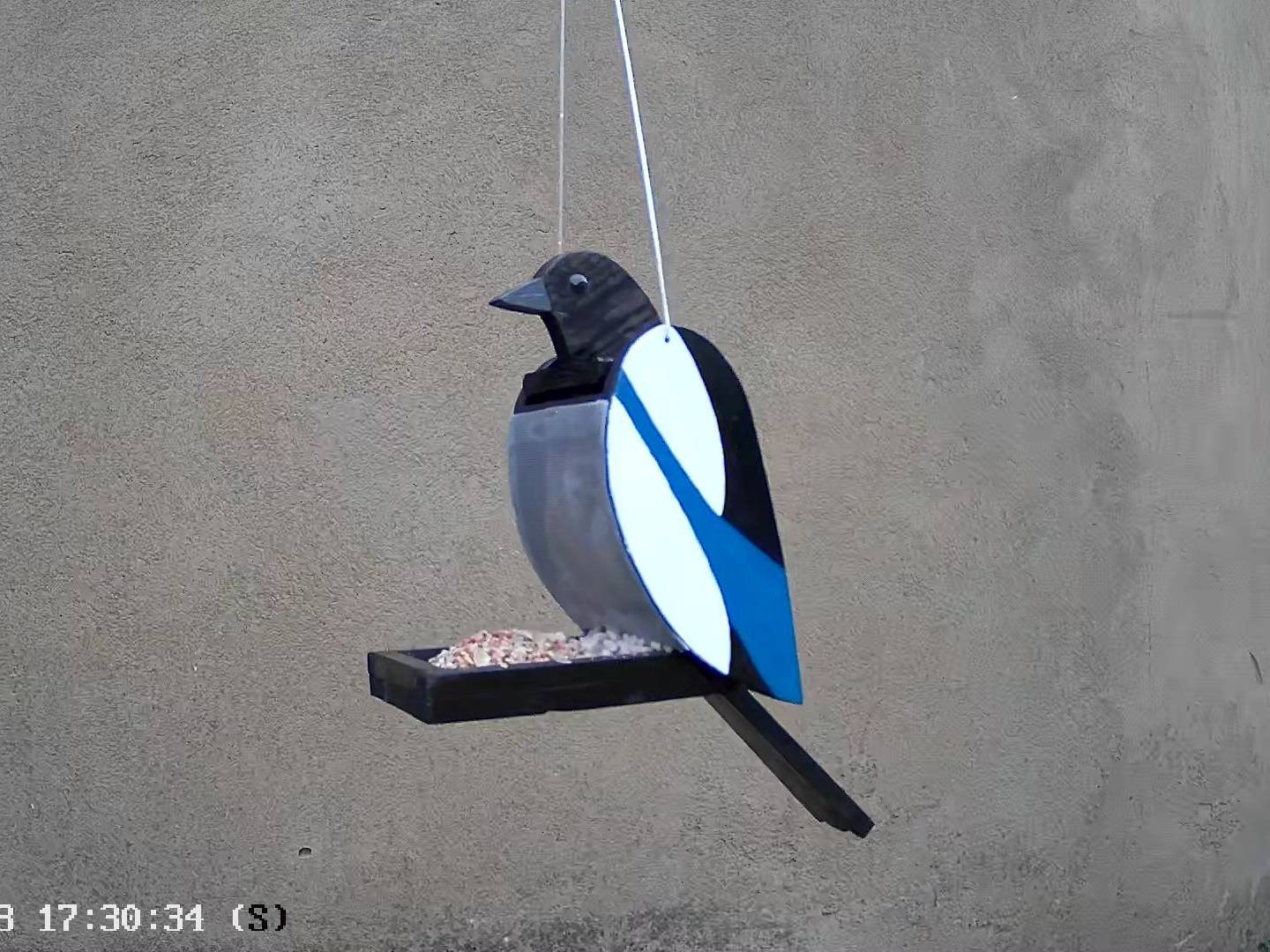 Magpie Bird Feeder / Wildlife Feeder - Etsy UK