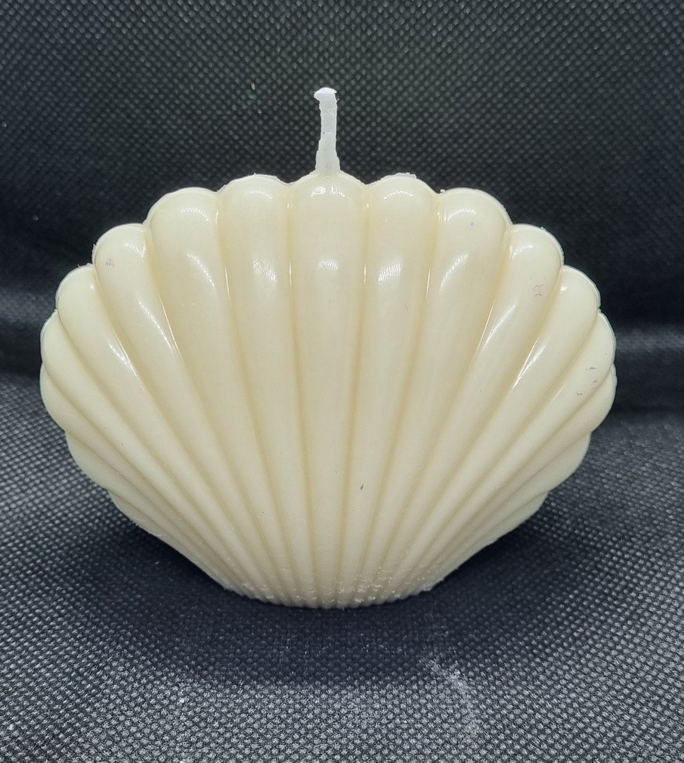 Shell Candles. Soy Wax Candle . Home Decor Candle. Summer Candle - Etsy UK