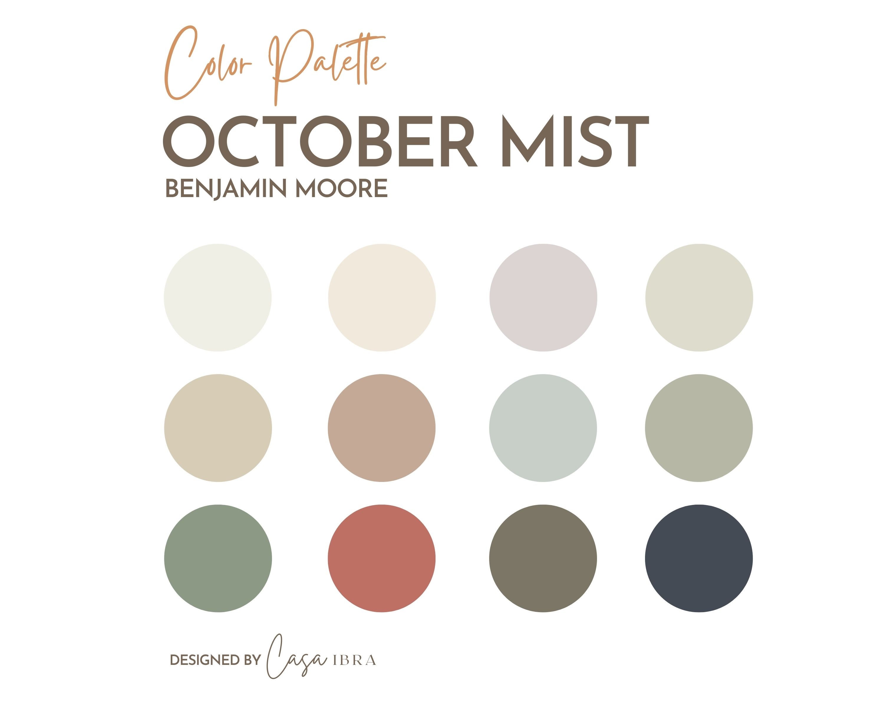 October Mist Paint Color Palette Benjamin Moore Interior - Etsy