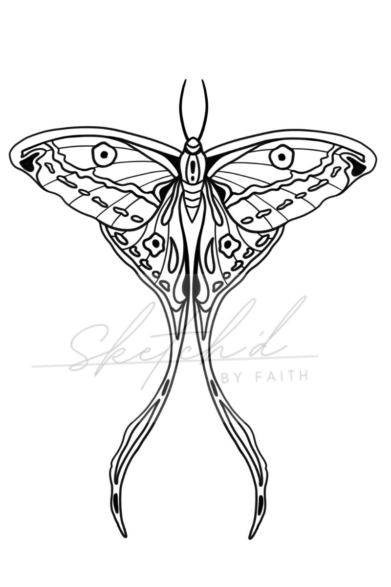 Lunar Moth SVG - Etsy